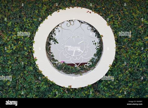 Metal White Frame Window With Green Grass Background Stock Photo Alamy