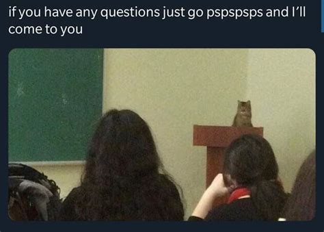Pspspspsps Meme By Amiajoketoyou Memedroid