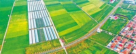 多地资金支持高标准农田建设！行业龙头获得优先关注！！ 国新办20日举行新闻发布会，介绍2022年一季度农业农村经济运行情况。农业农村部总农艺师
