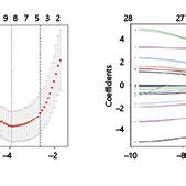 Texture Feature Selection Using The LASSO Binary Logistic Regression