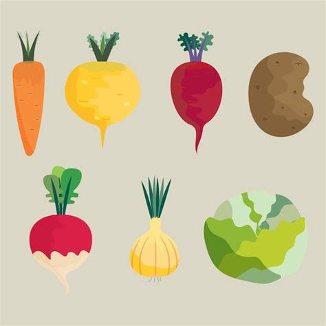 Premium Vector Vector Illustration Of A Group Of Root Vegetables