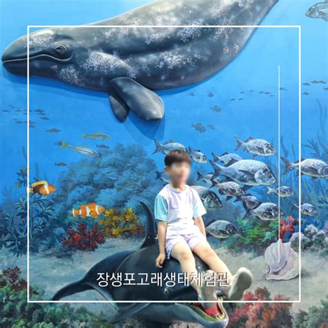 6월국내여행 울산 장생포고래생태체험관 울산함 아이랑가볼만한곳 네이버 블로그