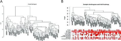 Samples Clustering To Detect Outliers Gse31684 A Cluster