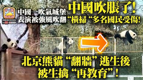 1221 【中國吹脹了】中國一吹氣城堡表演被強風吹翻，“橫掃“多名國民受傷 北京熊貓翻牆逃生後被生擒“再教育“主持： John