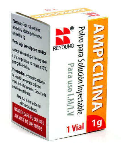 Ampicilina 1 g Polvo para Solución Inyectable UNIMARK S A