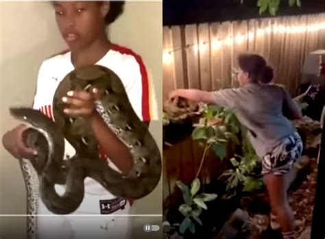 brave 16 year old nabs stray python in neighbor s yard video