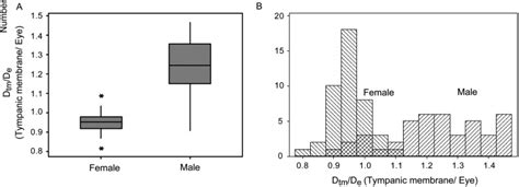 Sexual Dimorphism In External Morphology Of The American Bullfrog Rana