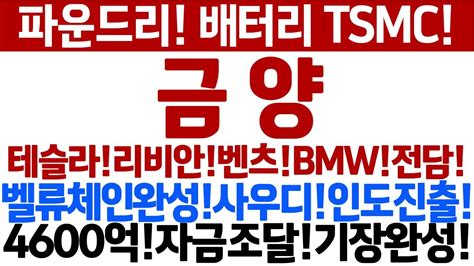 금양 주가 전망 배터리파운드리성공수주폭발외인매수폭발주가상승이어진다 Youtube