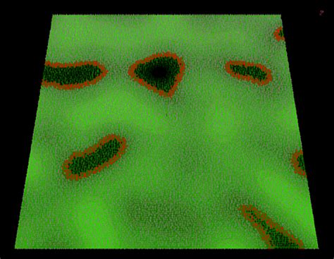 Tp Texture Edge Detection