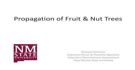 Pdf Propagation Of Fruit And Nut Trees• Propagation Seeds Every Tree Will Be Different