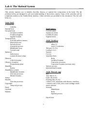 Lab Skeletal System Sydney Puntillo Docx Lab The Skeletal System This Activity Requires