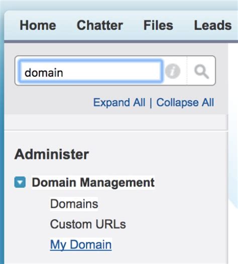 Single Sign On Salesforce Idp Instructions
