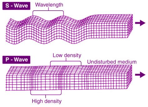 Explain Different Types Of Earthquake Waves Sarthaks Econnect Largest Online Education