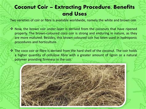 Procure The Premium Quality Coir Substrate Only From Riococo Pptx Agriculture Industries
