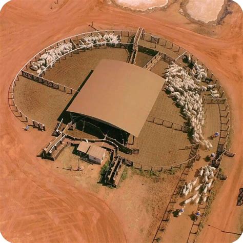 Ramax Group Complete Livestock Cycle Solutions