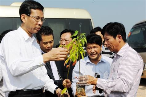 省政府召开三大重点林业生态工程建设推进会