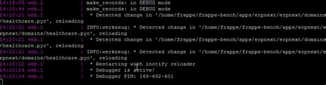 Need Help Running Erpnext Setup Frappe Forum
