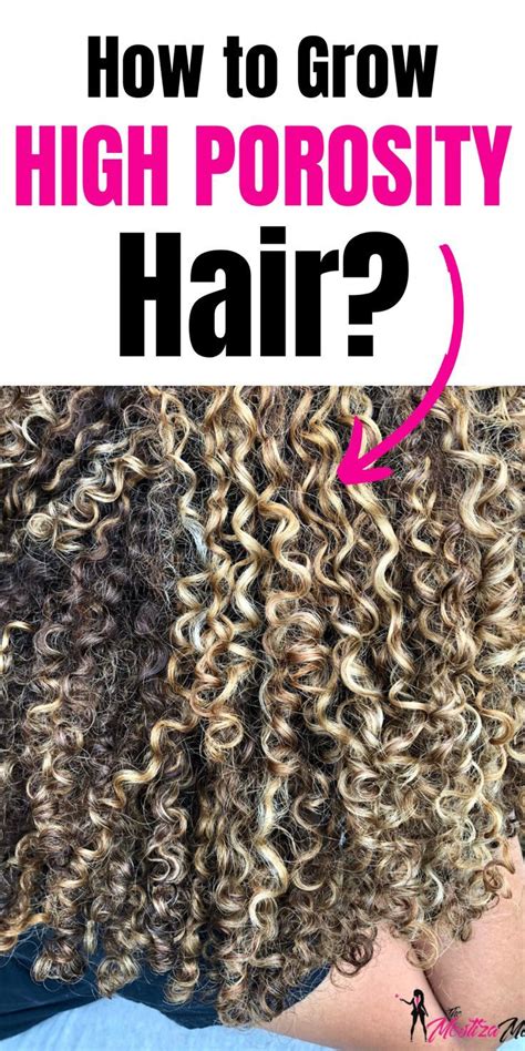 How To Grow High Porosity Hair Ultimate Guide The Mestiza Muse In