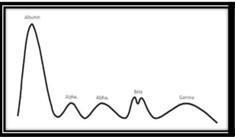 Path Hepatic Function Panel Of Tests Flashcards Quizlet