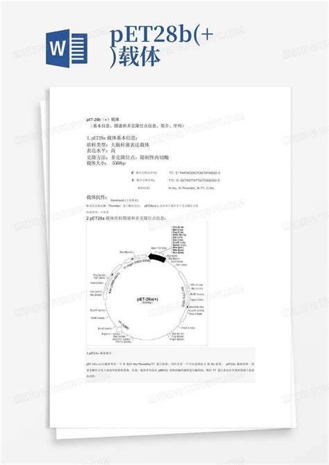 pet 28b 载体Word模板下载 编号ldoxmomy 熊猫办公