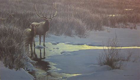 Art Country Canada Robert Bateman Evening Light Elk Offset Limited