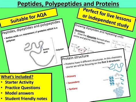 Amino Acids Proteins And Dna Aqa Teaching Resources