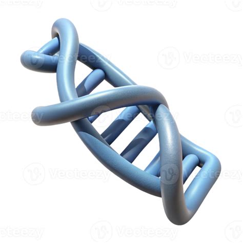 Stunning Classic Simple Dna Structure Illustration Isolated On White Professional 57869333 Png