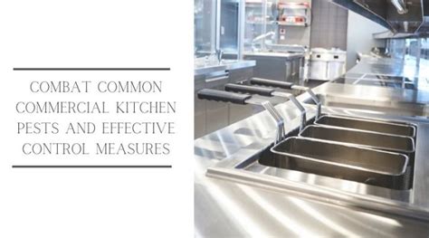 Combat Common Commercial Kitchen Pests And Effective Control Measures