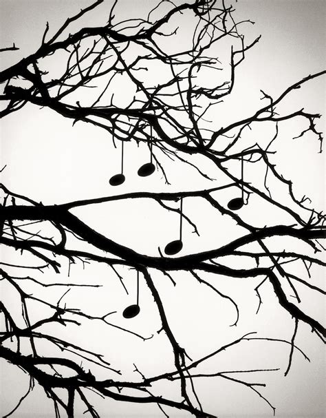 Exposición De Chema Madoz En El Jardín Botánico