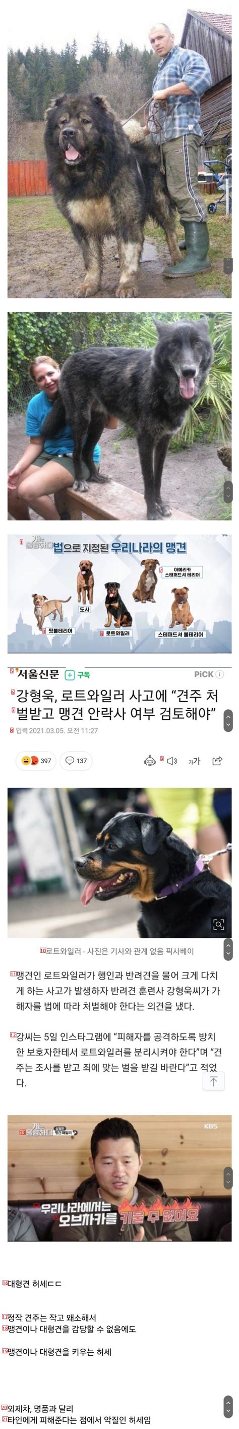 의외로 외제차나 명품 가방보다 심한 허세 촬스의 이슈와 유머