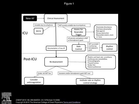 Optimizing Atrial Fibrillation Management Ppt Download