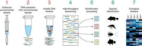 Metabarcoding Mebioda