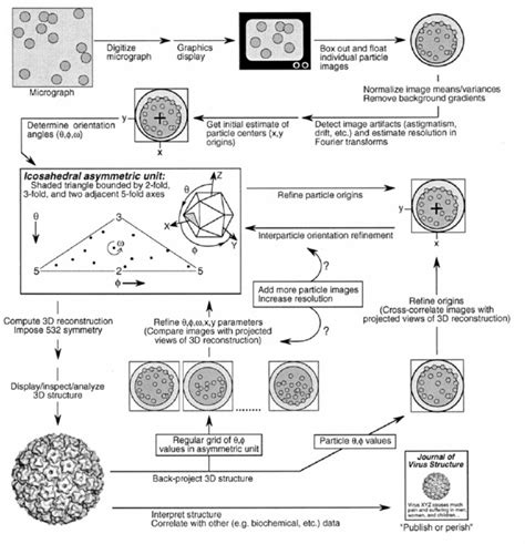 model based reconstruction process schematic diagram of the 3d image download scientific