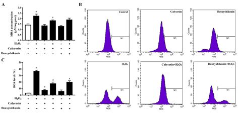 Identification Of Phytogenic Compounds With Antioxidant Action That Protect Porcine Intestinal