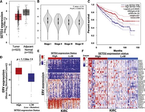 Rna Mis Splicing Drives Viral Mimicry Response After Dnmti Therapy In
