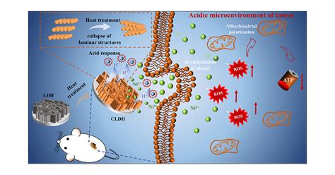 Selective Tumor Inhibition Effect Of Drug Free Layered Double Hydroxide Based Films Via