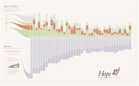 Hops Chart Visualizing Bitterness Flavors And Aromas Of Beer Brewing