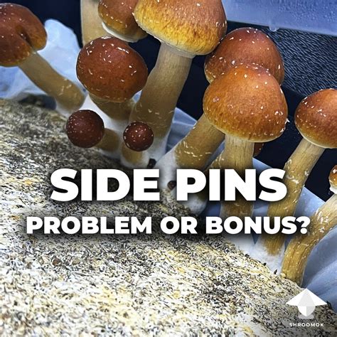 Mushrooms Side And Bottom Pinning