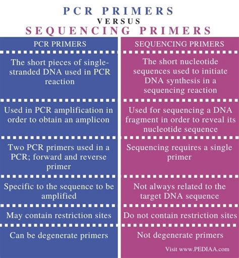 What Is The Difference Between PCR Primers And Sequencing Primers