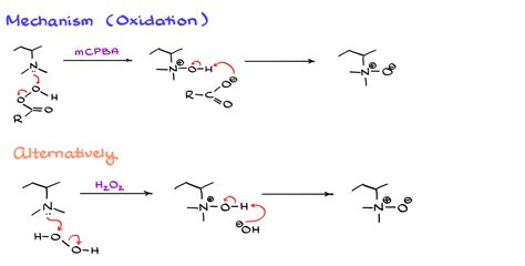 Cope Elimination — Organic Chemistry Tutor
