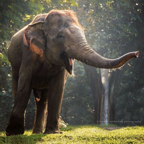 United States Postgresql Association On Linkedin United States