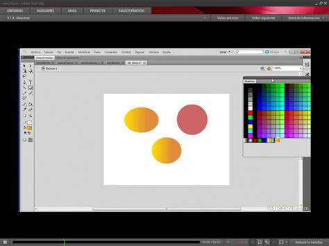Curso Adobe Flash Cs Integral Video Brain Espa Ol Jumbofiles