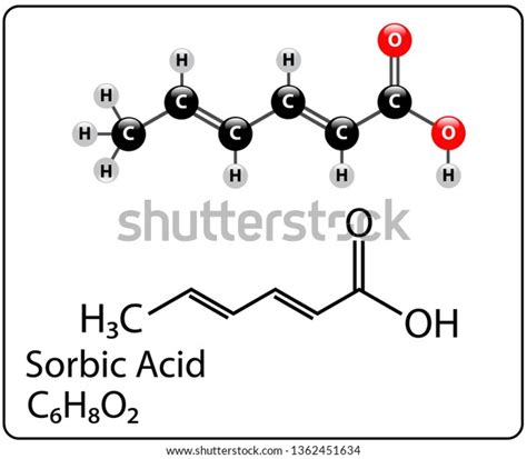 Sorbic Acid Molecule Structure Stock Vector Royalty Free 1362451634 Shutterstock
