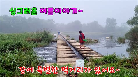 나의 싱그러운 여름이야기 집옆 강에 특별한 먹거리가 있어요 여름향기 가득한 산골 YouTube