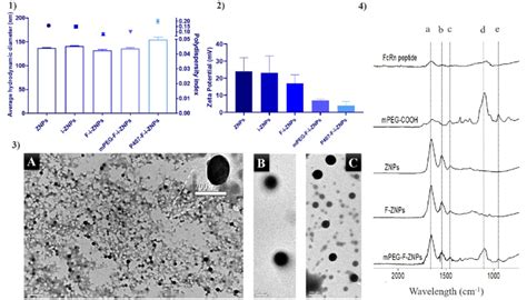 1 The Average Hydrodynamic Diameter And Pdi Measured By Dls Results