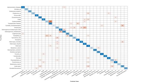 Github Swapnilbaadplankton Image Classification