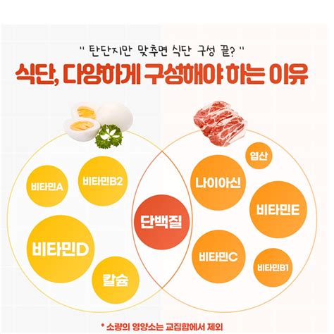 대전 기구 필라테스 지움바디 태평점에서 도와드리는 다이어트 식단 구성하기 네이버 블로그