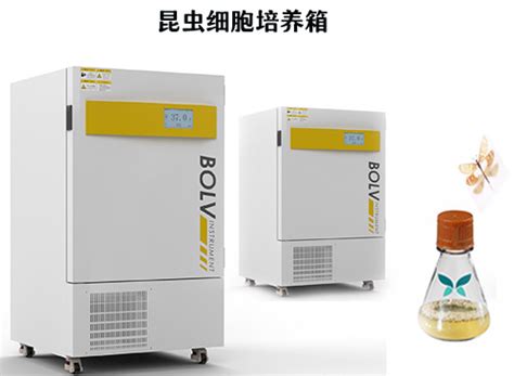 昆虫细胞培养箱 恒温恒湿培养箱 苏州阿尔法生物实验器材有限公司