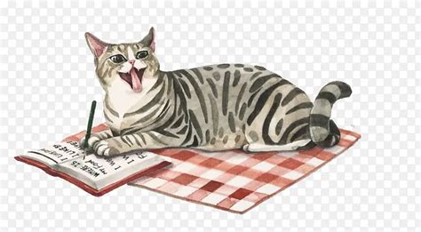 卡通写字小猫PNG图片素材下载 图片编号qkpnkdvd 免抠素材网