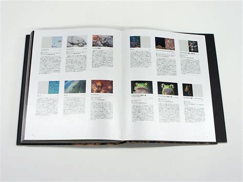 ENDANGERED 絶滅の危機にさらされた生き物たち青幻舎 SEIGENSHA Art Publishing Inc